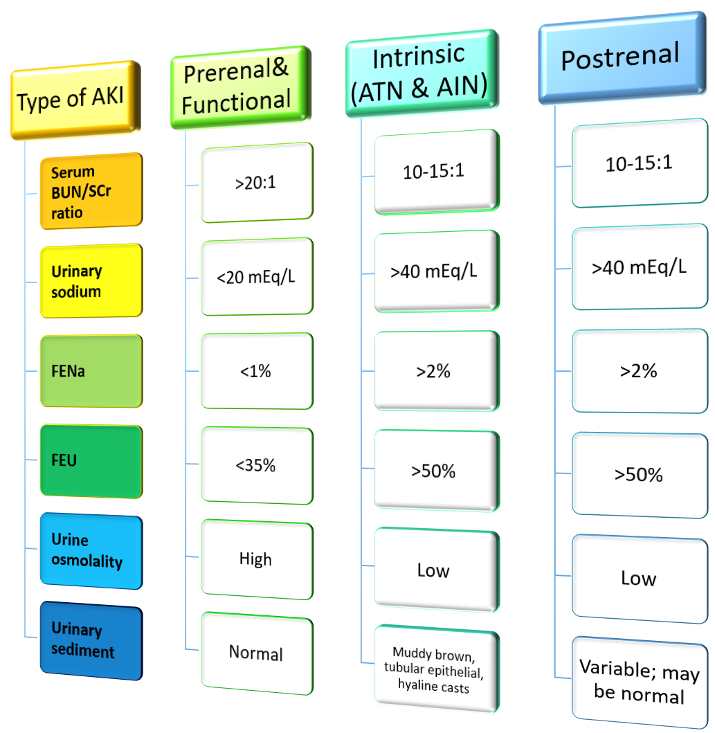 Spilling the Beans on Acute Kidney Injury