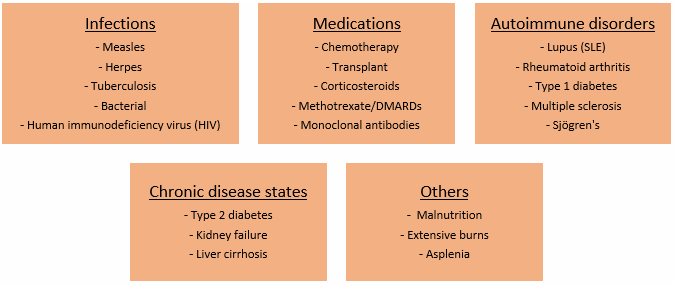 Opportunistic Infections: Pneumocystis jirovecii Pneumonia (PJP)